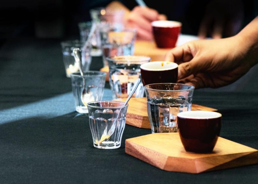 Know Your Coffee Descriptions — CoffeeAM