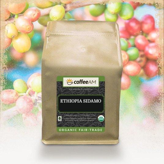 Organic Ethiopia Sidamo Coffee - Fresh Roasted & Shipped Same Day! — CoffeeAM