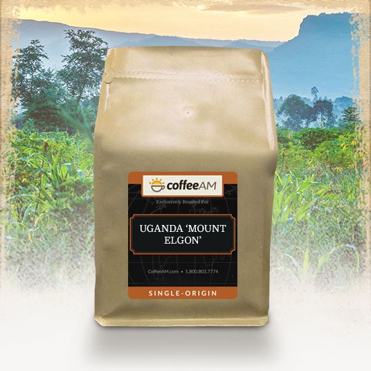 Uganda Coffee - Fresh Roasted & Shipped Daily — CoffeeAM
